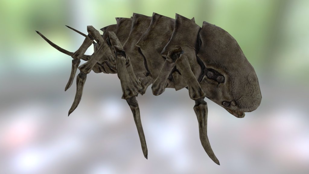 Scrib - 3D model by alysander [97aa246] - Sketchfab