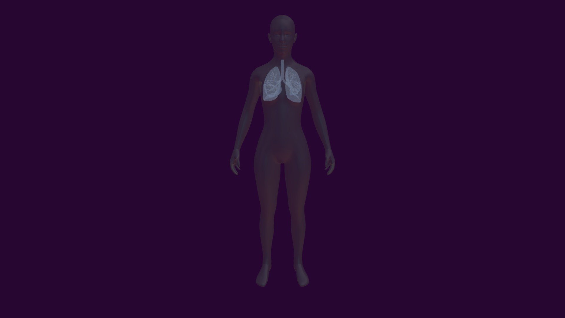 BB_Look3 - 3D model by Studio Rx (@srx) [97b1563] - Sketchfab