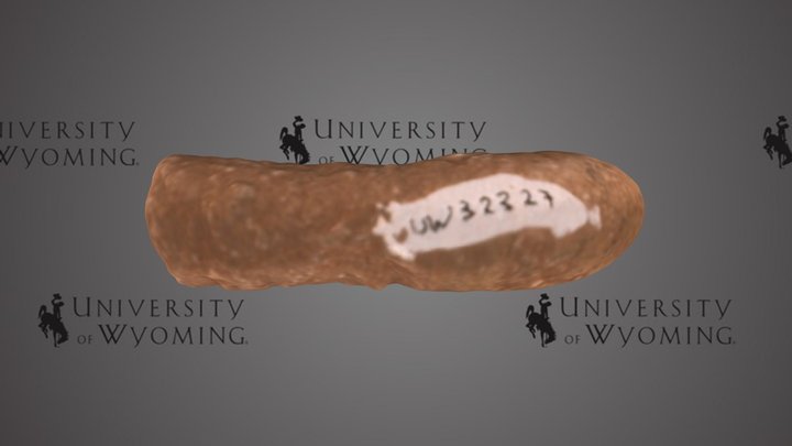 Coprolite 3D models - Sketchfab
