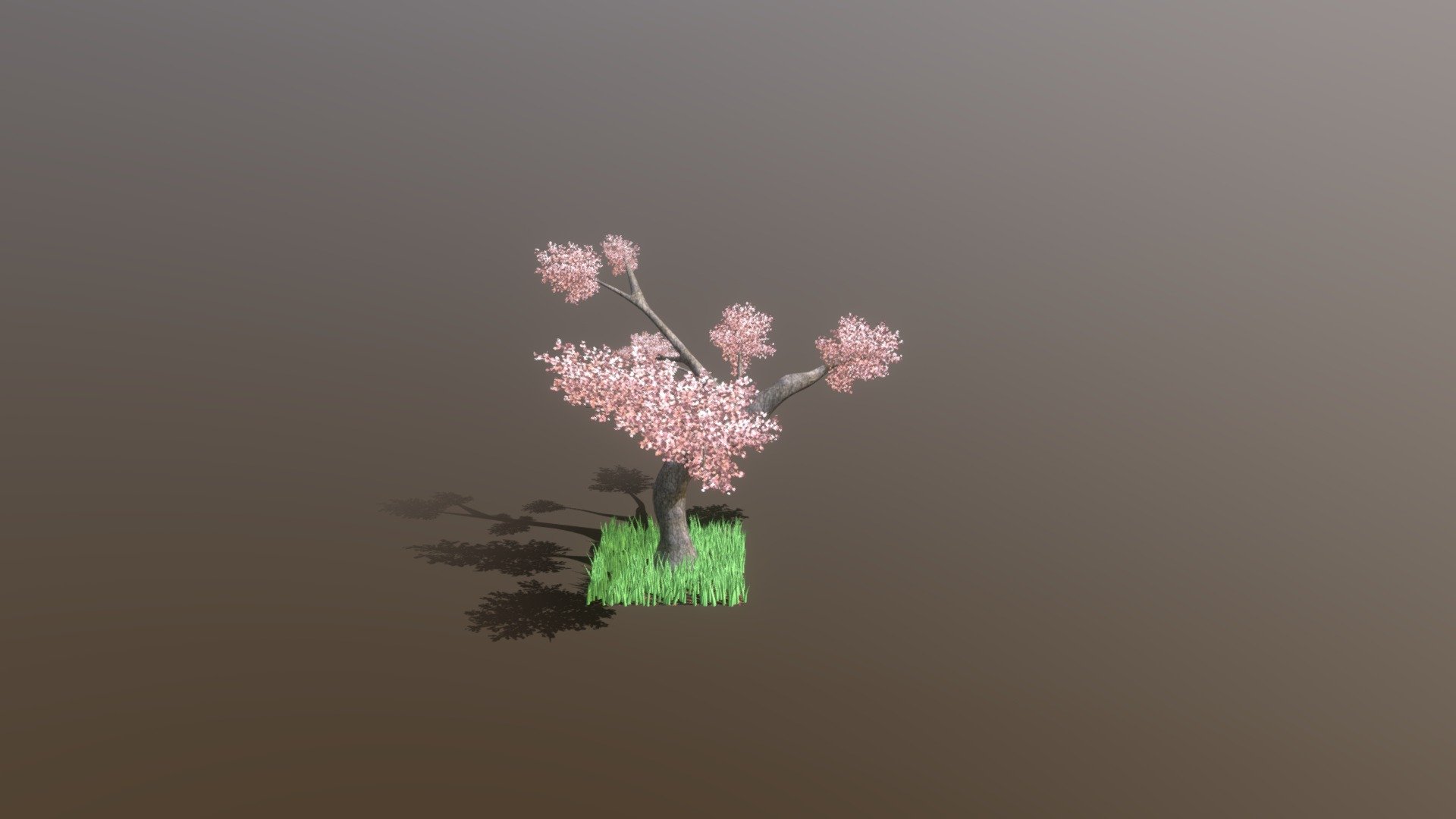 Cherry Blossom - Download Free 3D model by LilyFawxz [97b7df4] - Sketchfab