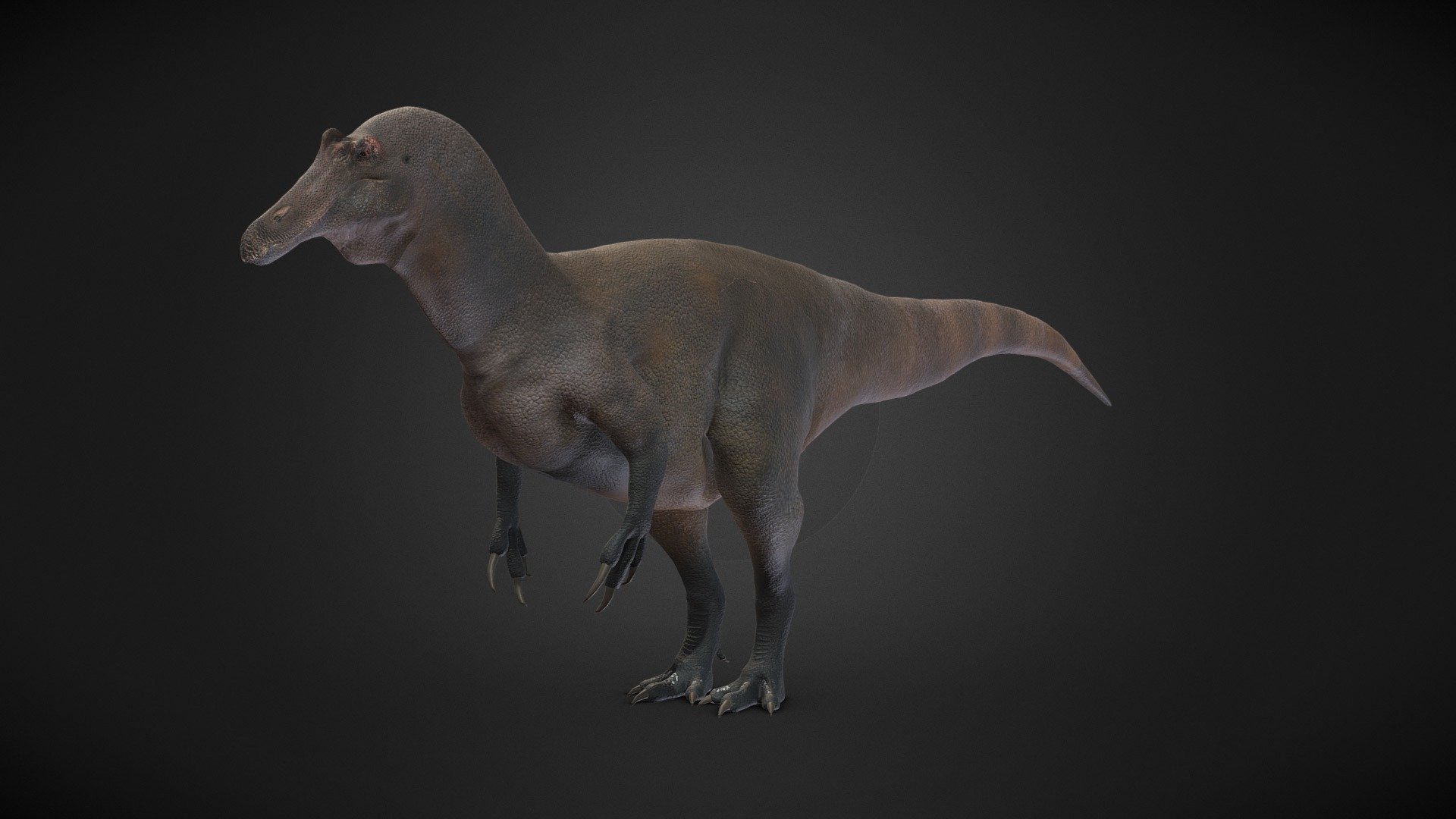 Baryonyx walkeri - Rigged - Buy Royalty Free 3D model by Iofry [97bb1cf ...