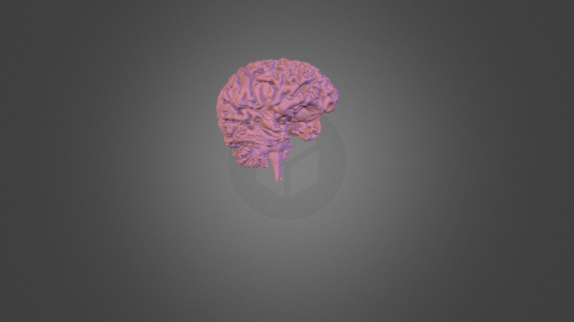 ImageJ_t1-head - 3D model by SheetsKG [97c31a9] - Sketchfab