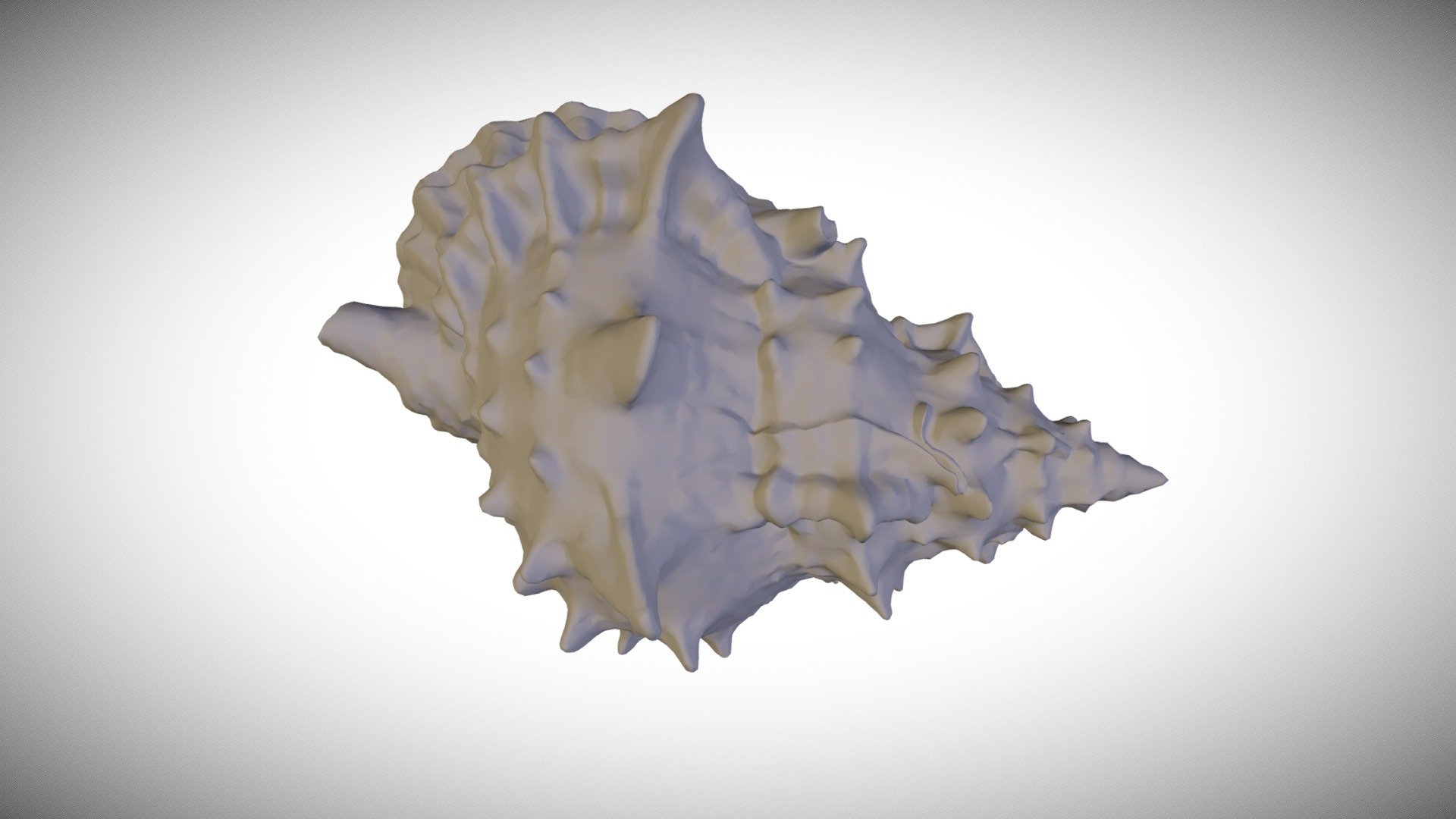Shell v1 - 3D model by GregRotter [97c9fc0] - Sketchfab