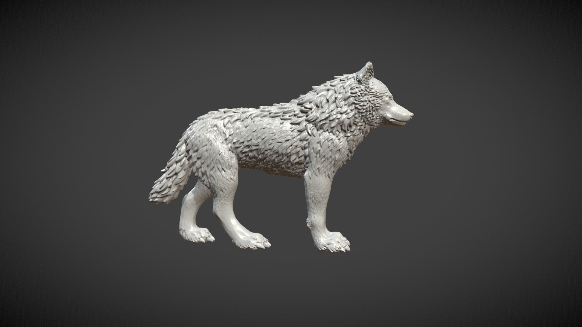 Wolf III - 3D model by Skazok [97ca481] - Sketchfab