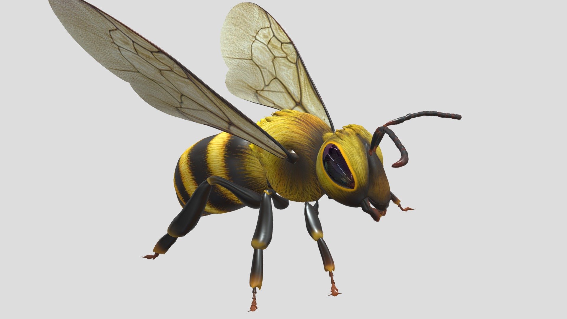 Honey bee - Download Free 3D model by Cybertron B-127 (@robo-reboot ...