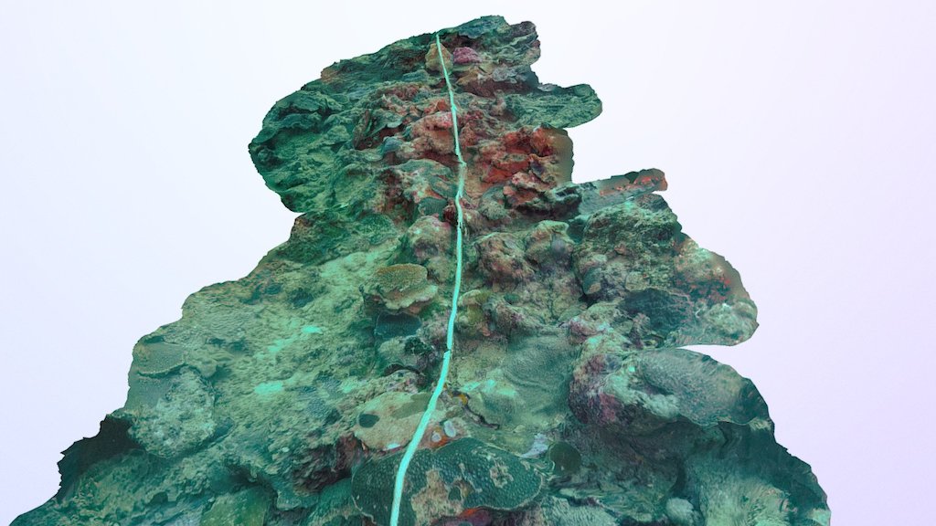 Coral Habitat Cable Alignment - 3D model by Geo Oceans (@geooceans ...