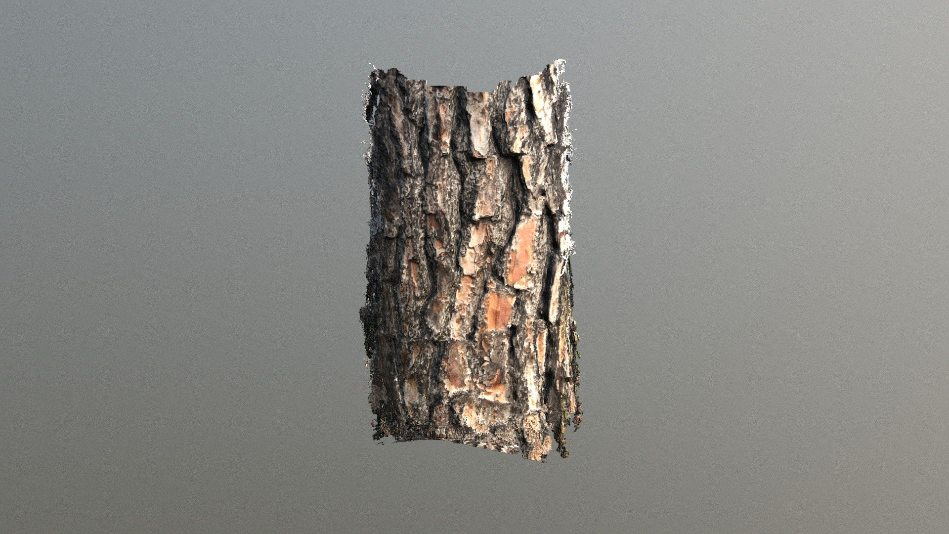Tree Bark - 3D model by George (@gfarro) [97d92dd] - Sketchfab