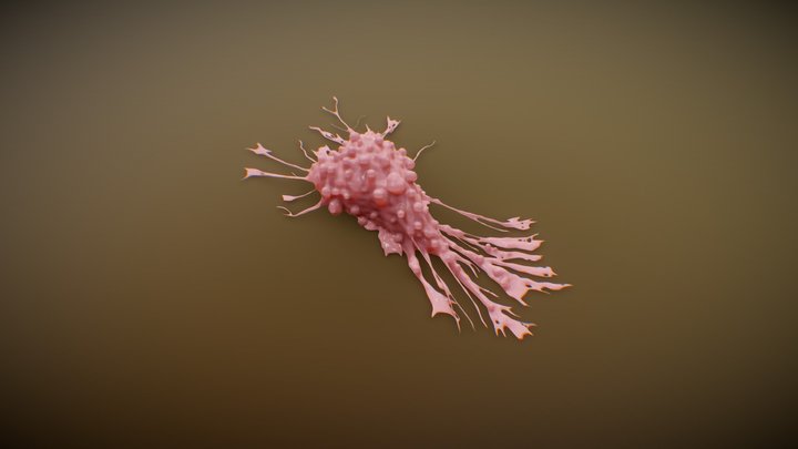 Medicine-healthcare-cells-cancer 3D models - Sketchfab