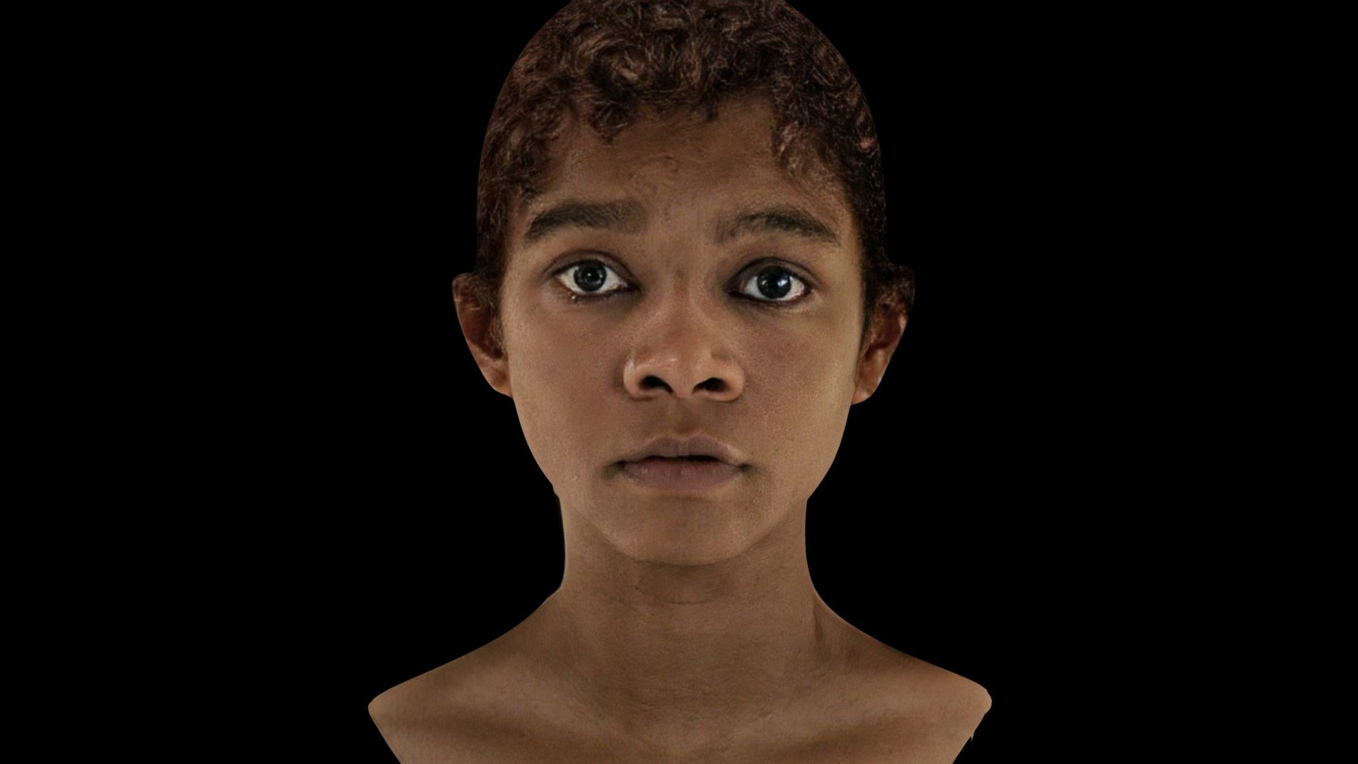 Human Dignity Collection | www.acuteline.com - Download Free 3D model ...