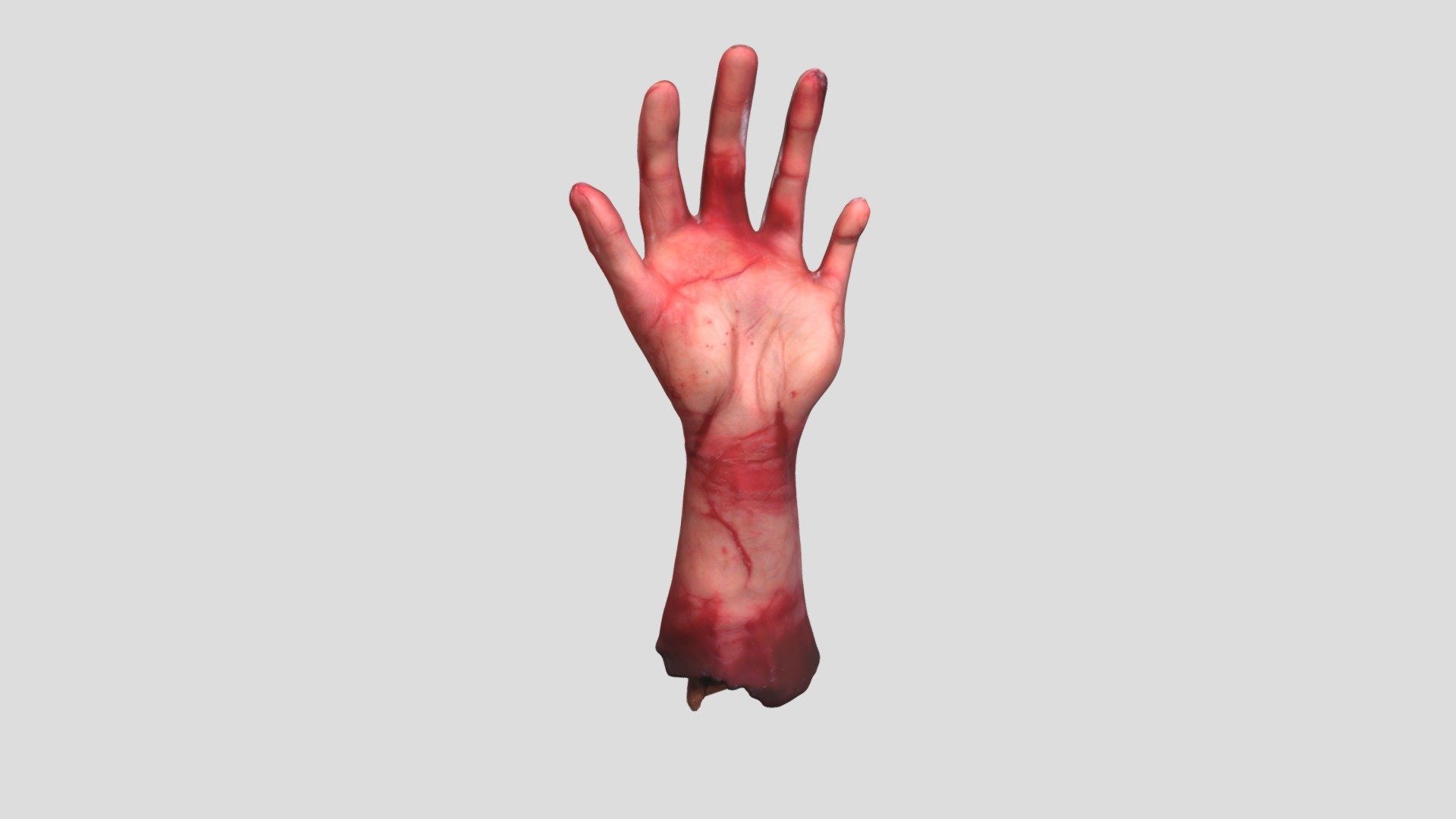 Severed Hand Prop - 3D model by shahin.reza.sifat [97e8b68] - Sketchfab