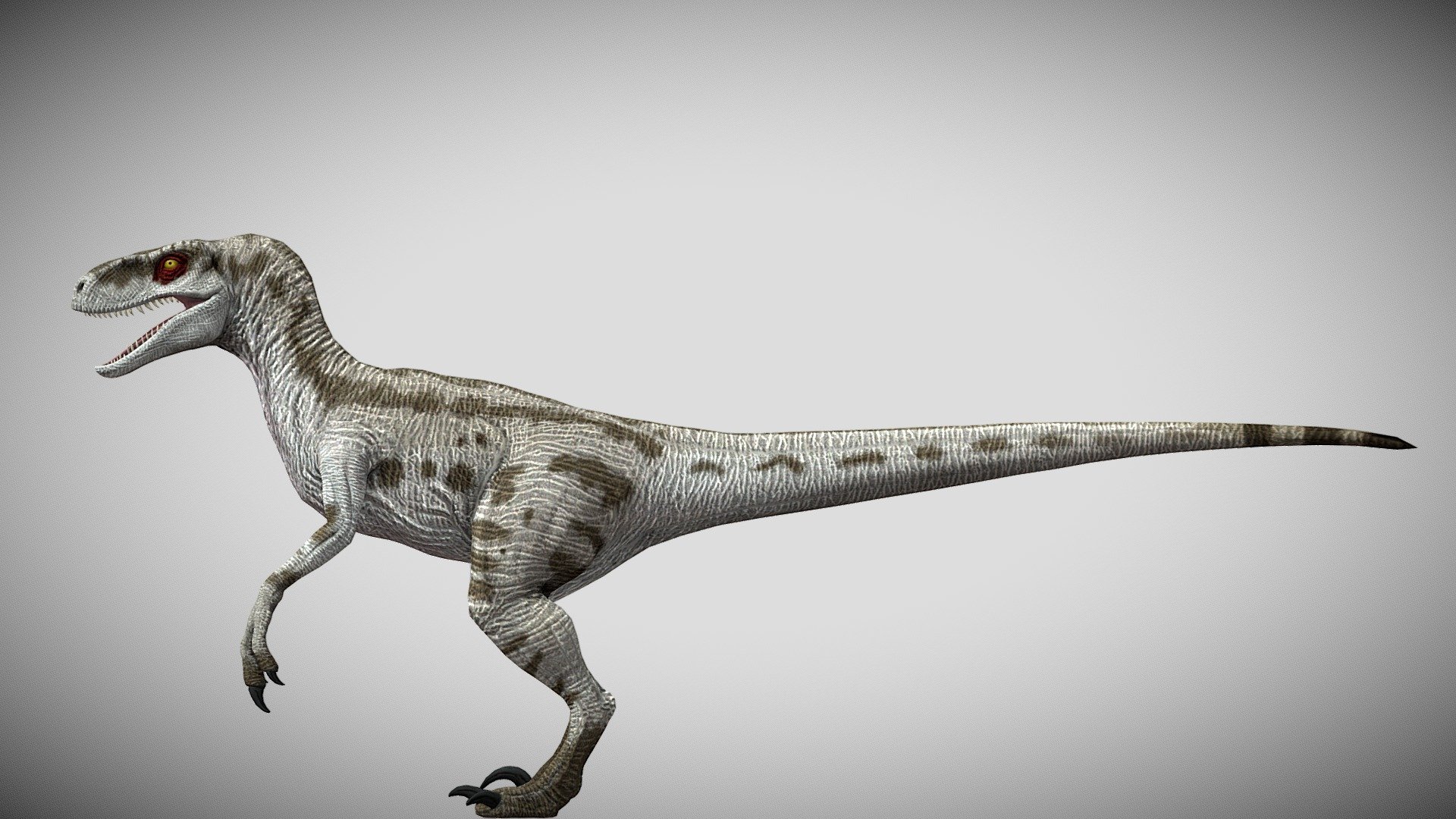 JP:OG Female Velociraptor - Download Free 3D model by AllThingsSaurus ...