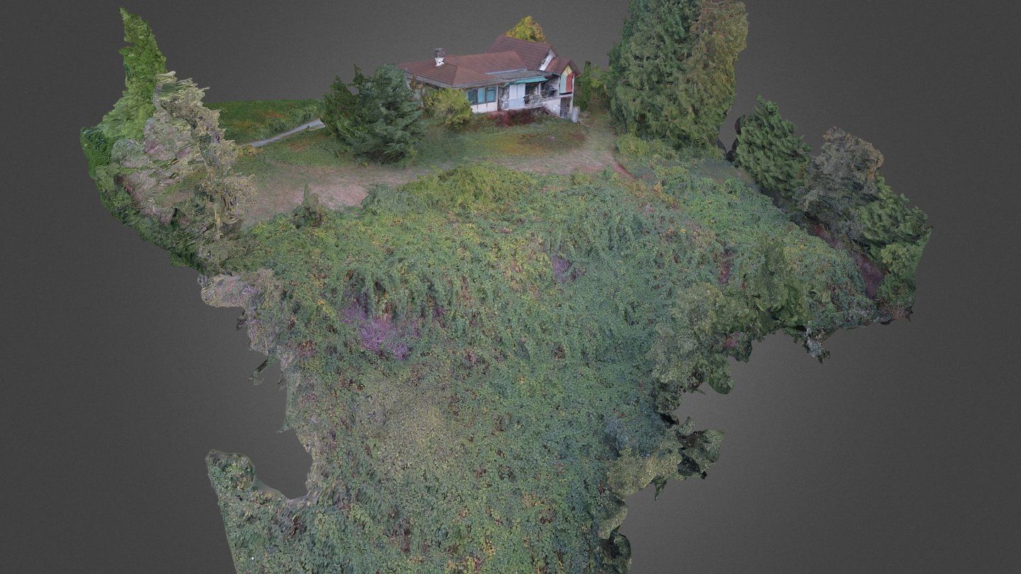 Backyard landscaping example - 3D model by lofty [97f406f] - Sketchfab