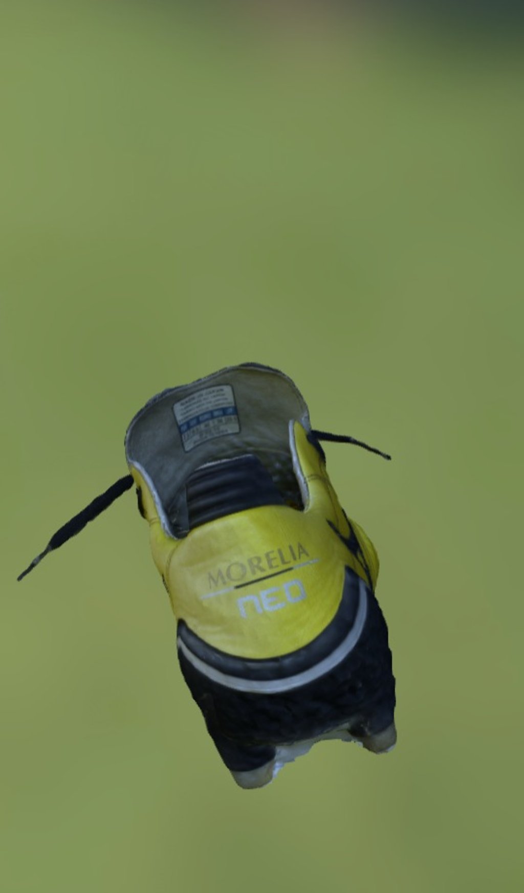 Mizuno - 3D model by boonlertsatiakun [97f4fb1] - Sketchfab