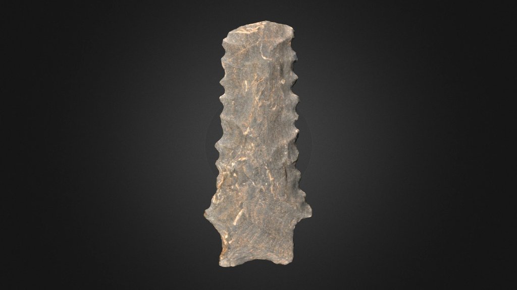 Kirk Serrated (323a50-1) - Download Free 3D model by RLA Archaeology ...