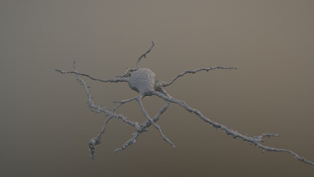 Smoothed Surface Rendered Neuron - 3D model by DRVISION (@Aivia ...