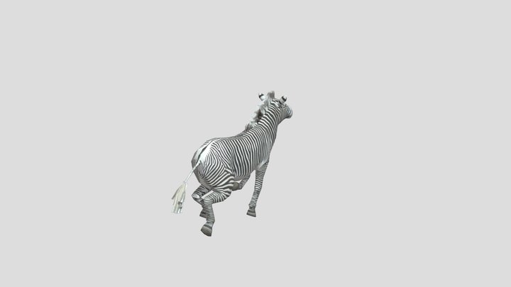 Zebra 3D models - Sketchfab