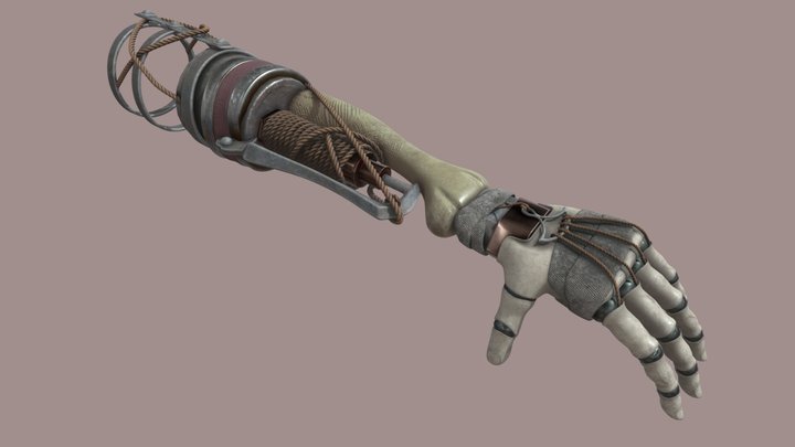 Prosthetic 3D models - Sketchfab