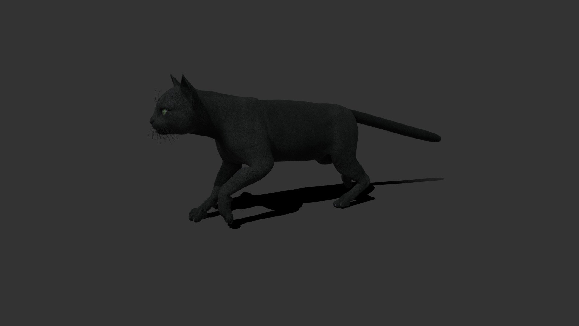 Cat - 3D model by LimaOpat [9803387] - Sketchfab