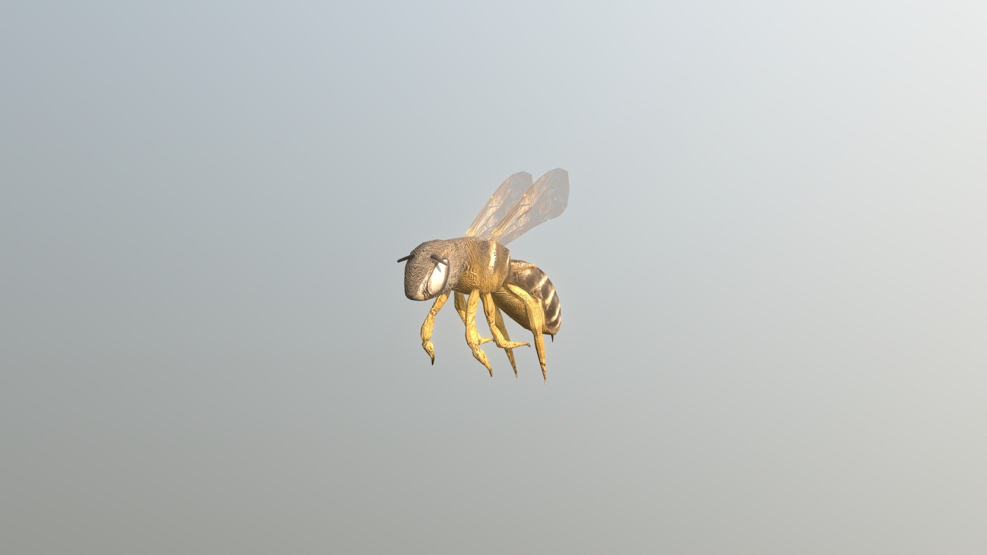 bee - 3D model by bhavesh123 [9805ef4] - Sketchfab