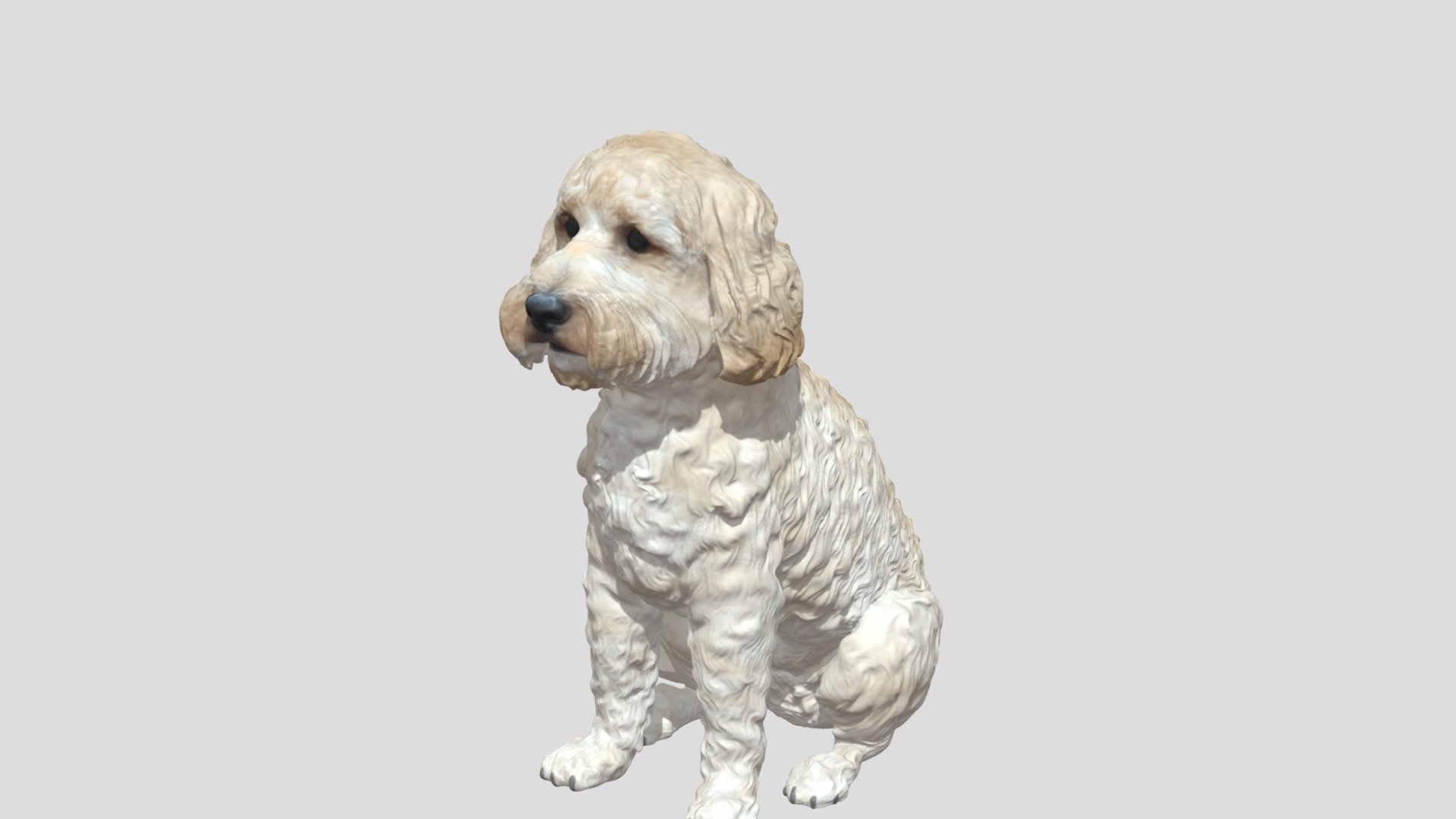 1910034- Dex- Cockapoo1 - 3D model by Arty Lobster - Pet Sculptures ...