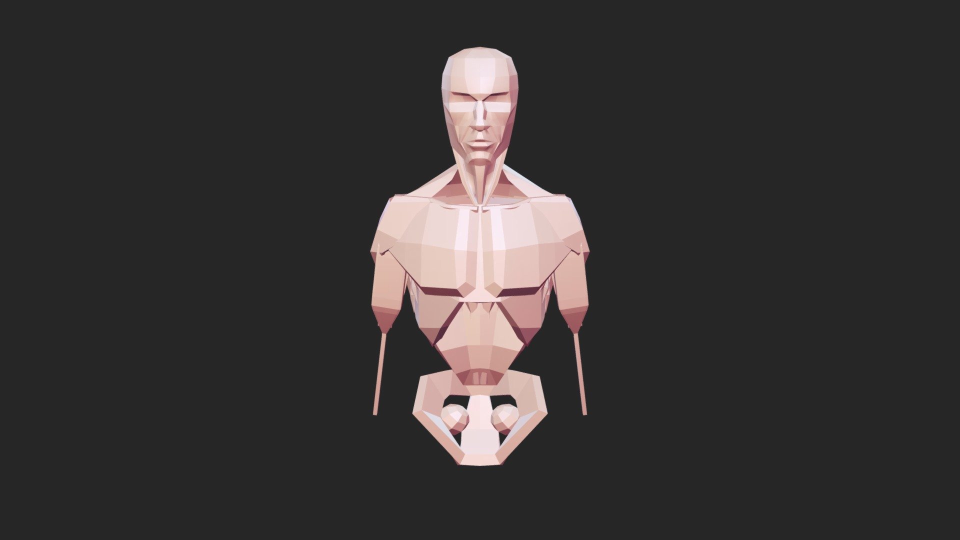 Upper Torso Study - 3D model by NforNathan [9815b0c] - Sketchfab