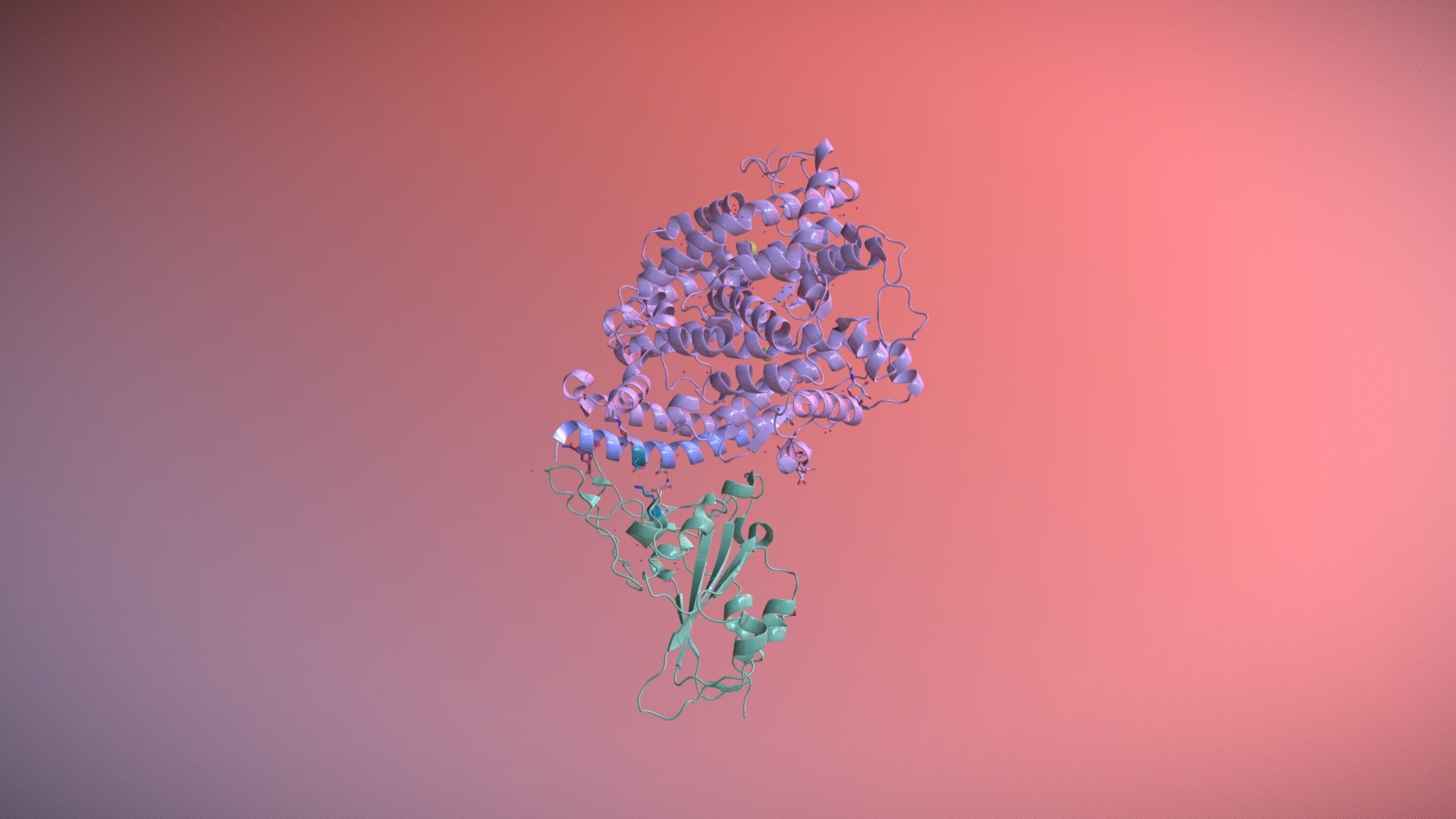 SARS-CoV-2 Spike Protein and Human ACE-2 Protein - 3D model by ...