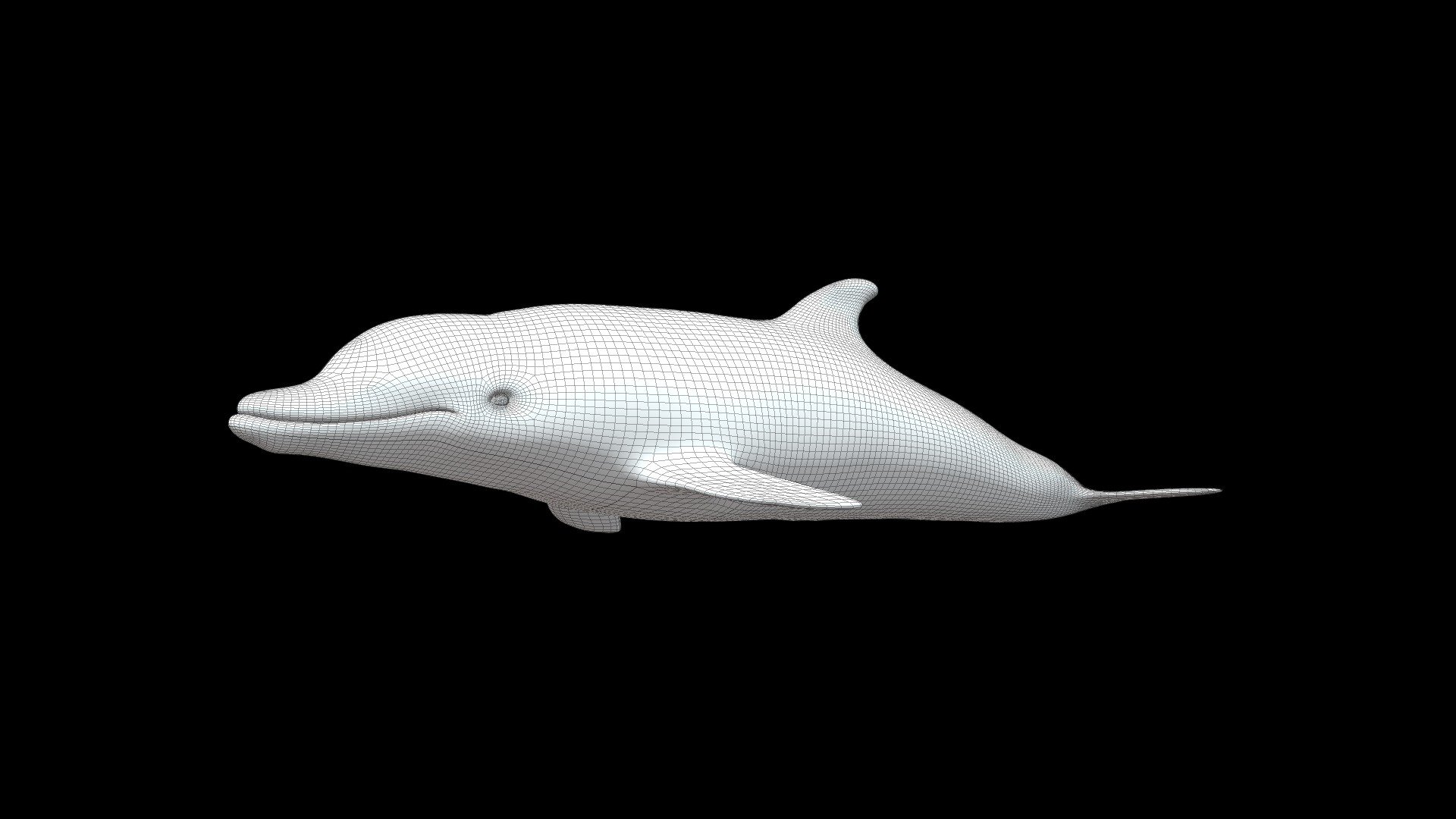 Model 61B - Bottlenose Dolphin Mesh - Download Free 3D model by ...