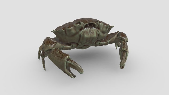 Silly 3D models - Sketchfab