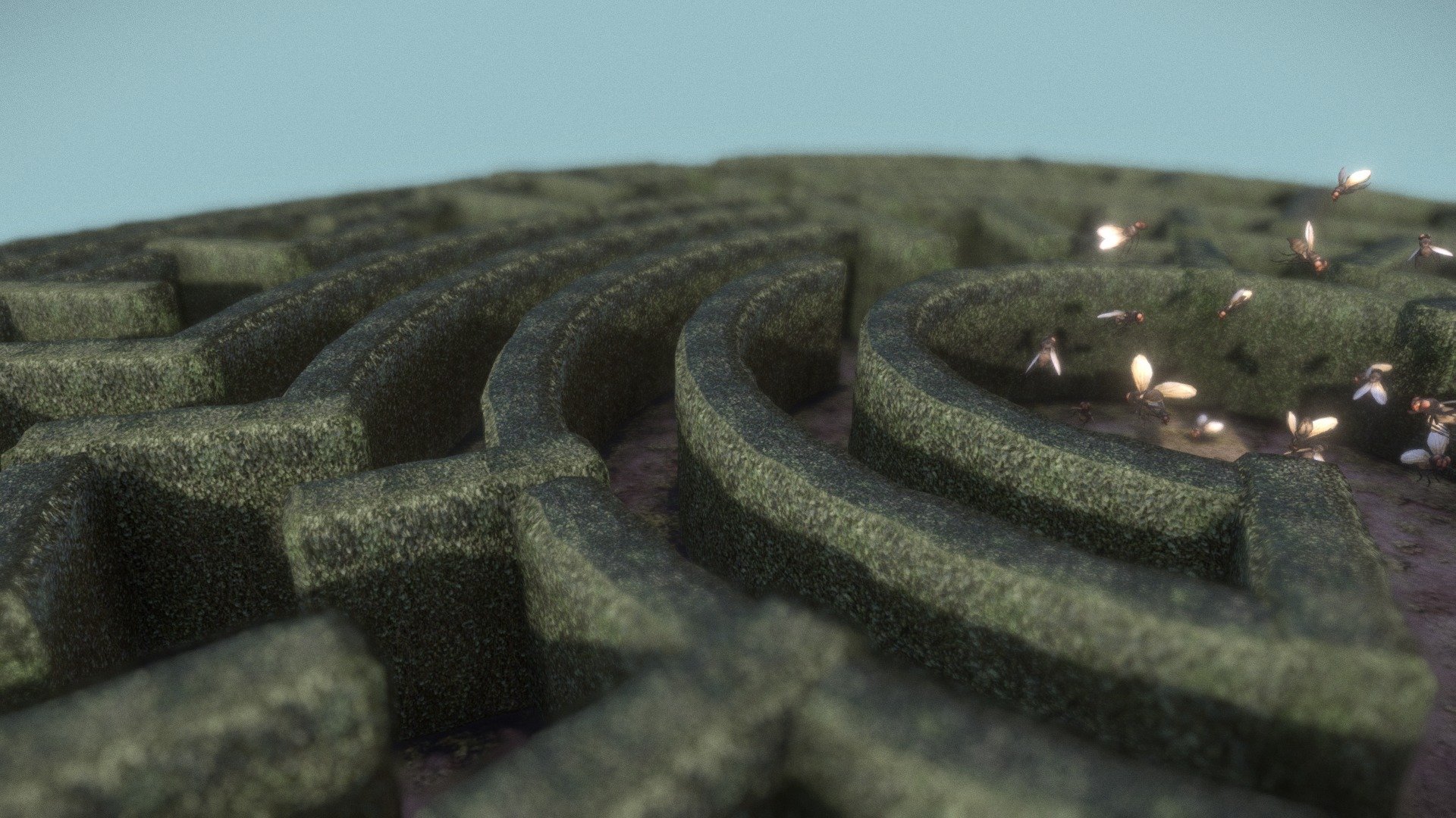 Hedge Maze - 3D model by Crack Sparrow Capt. (@VR.GOD) [9853ea5 ...