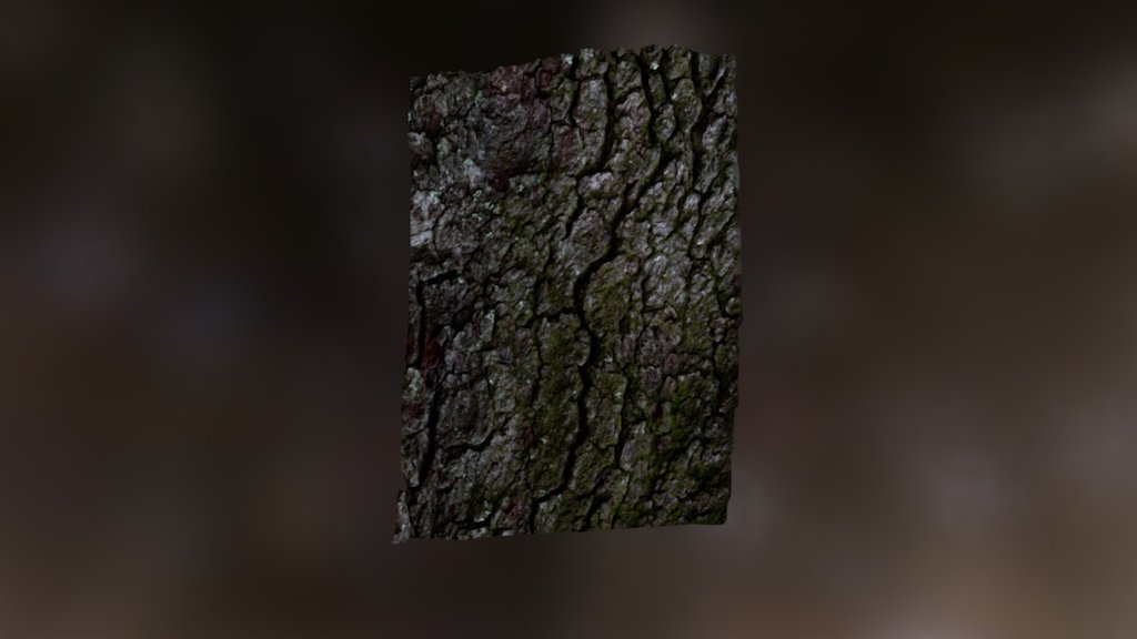 Tree Bark - 3D model by gspeed0689 [985c79e] - Sketchfab