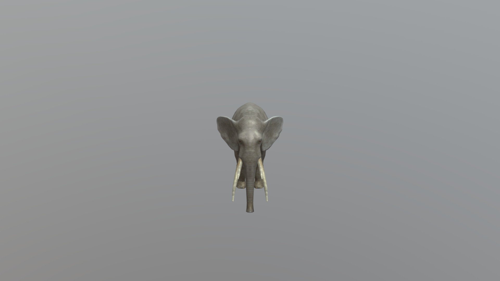 Elephant - 3D model by kubricktesting [986785d] - Sketchfab