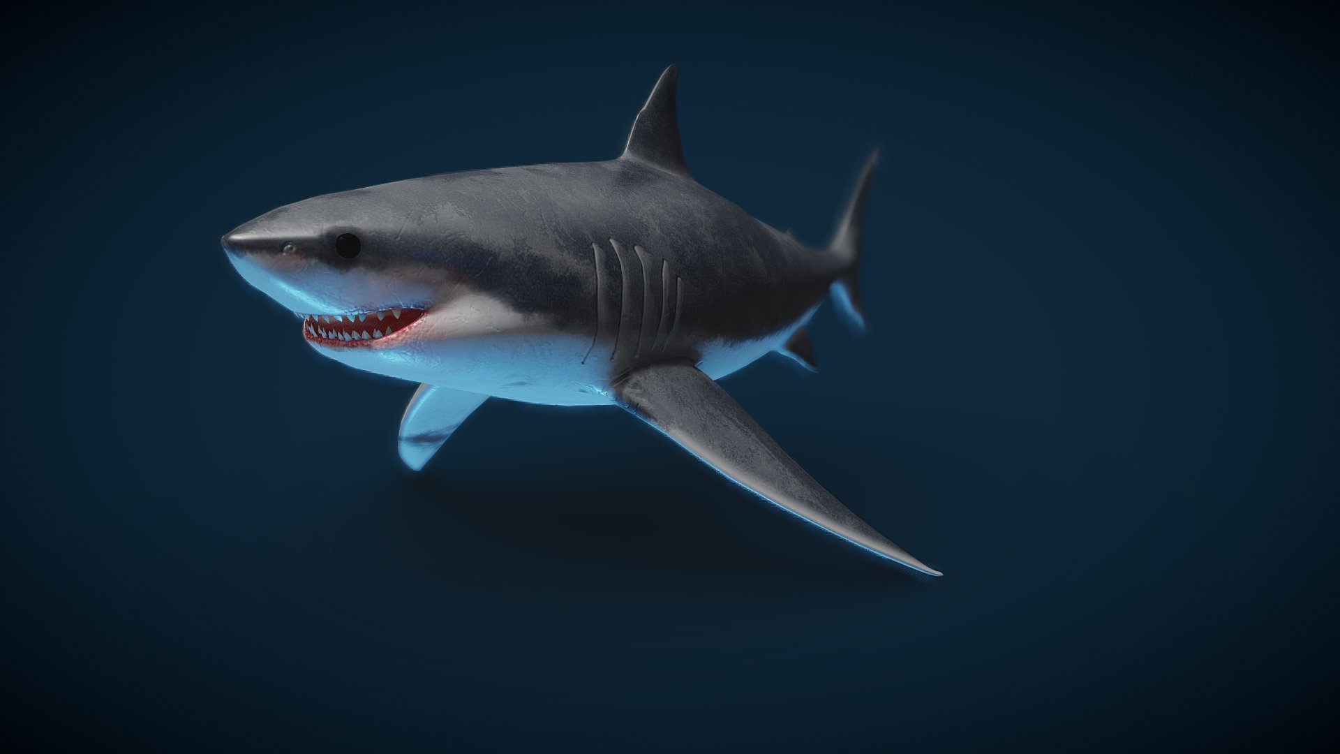 Shark - Download Free 3D model by Antonio_Adams (@AAdams3112) [9867dbe ...