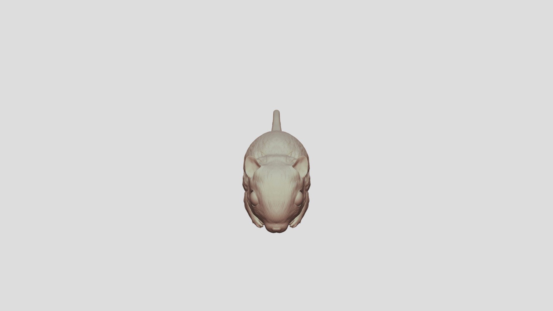 Jerboa Sculpt - 3D model by lnpublow [986f5d5] - Sketchfab