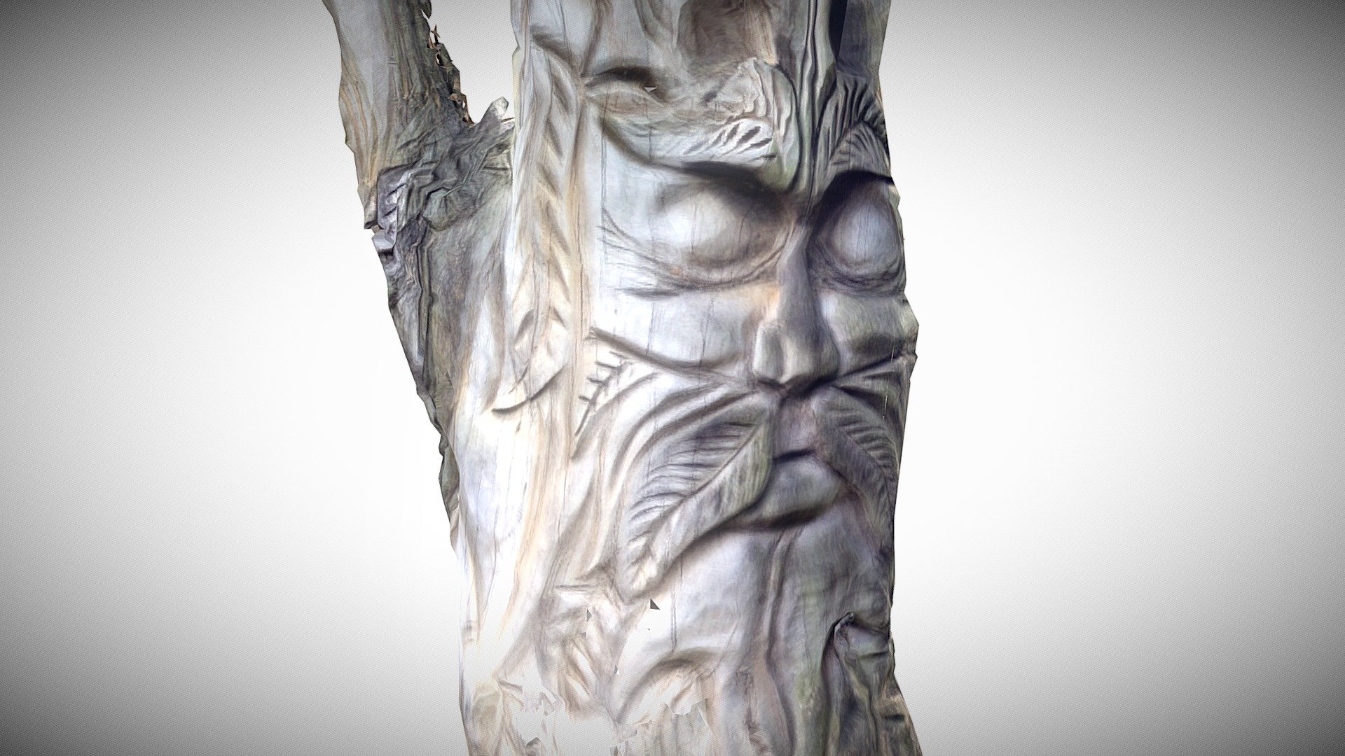 Tree face - Download Free 3D model by kungphil [9878435] - Sketchfab
