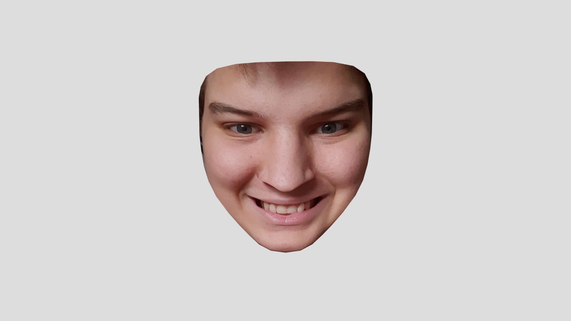 My face goofy - Download Free 3D model by bigmalechickenhaver [98786c0 ...