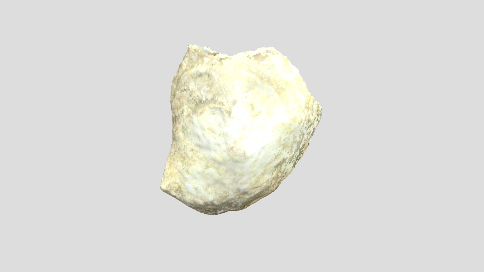 Oyster Shell (VCU_3D_2499) - Download Free 3D model by Virtual Curation ...