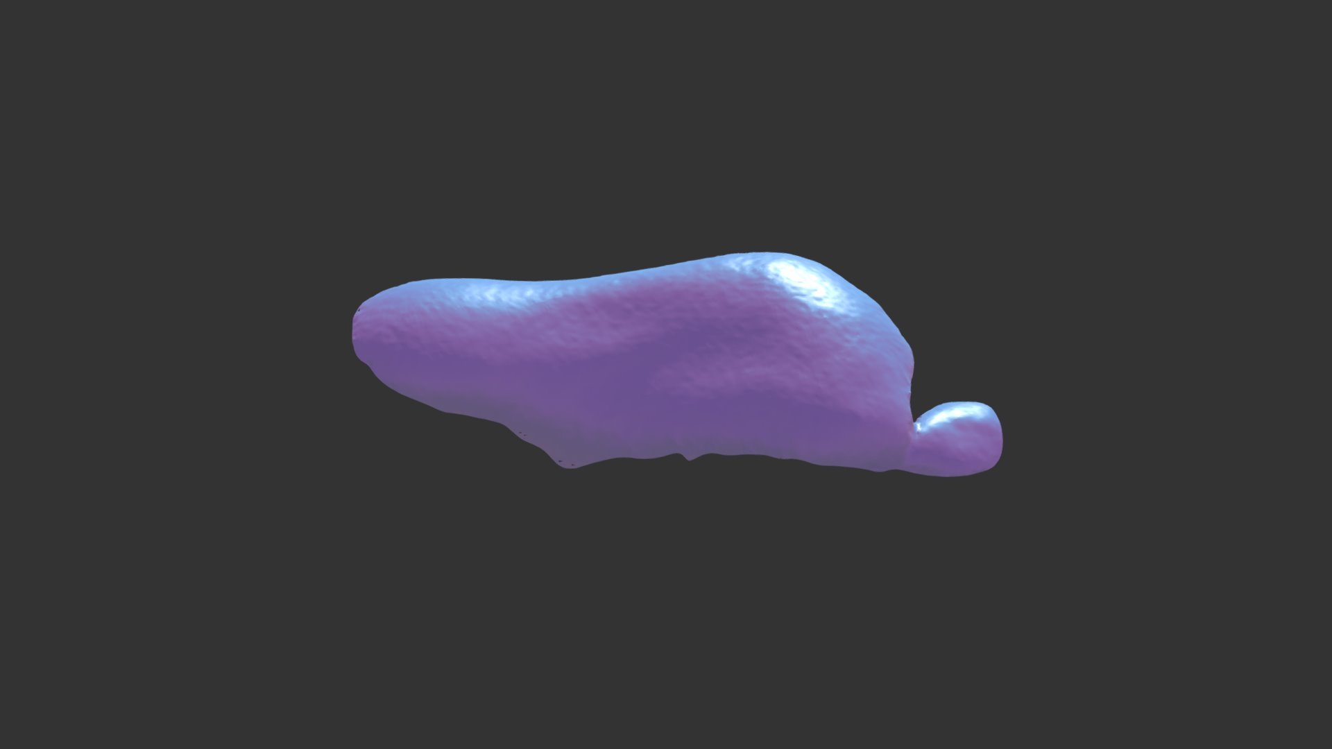 Voetzool - 3D model by Albyco [988d54e] - Sketchfab
