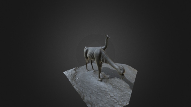 Vicuñas - 3D model by ArqLine [988daf9] - Sketchfab