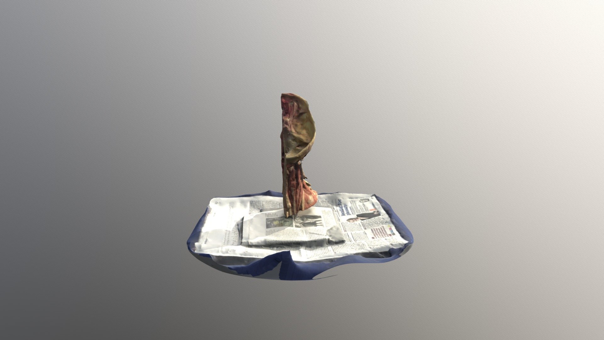 Face Real Obj - 3D model by UEMS-LSRC [9899791] - Sketchfab