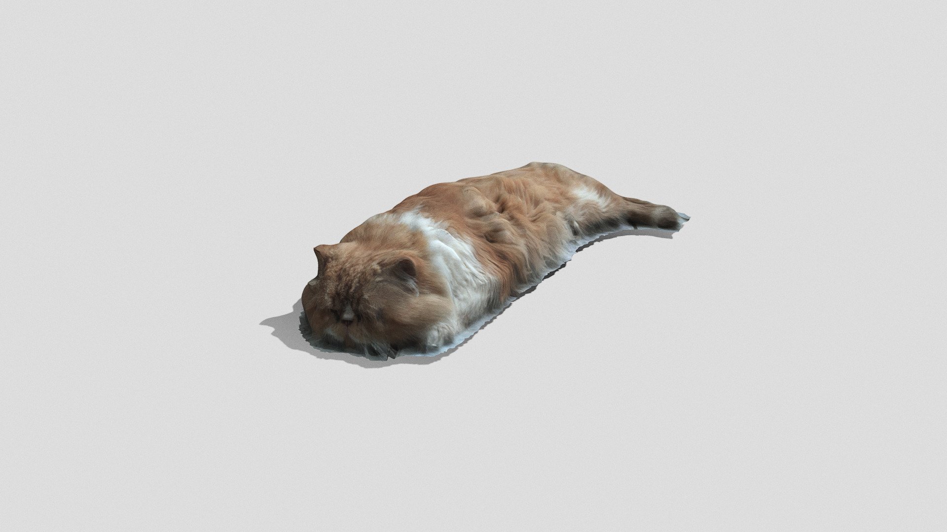 Persian Cat Sleeping - Gato Persa Dormindo - Download Free 3D model by ...