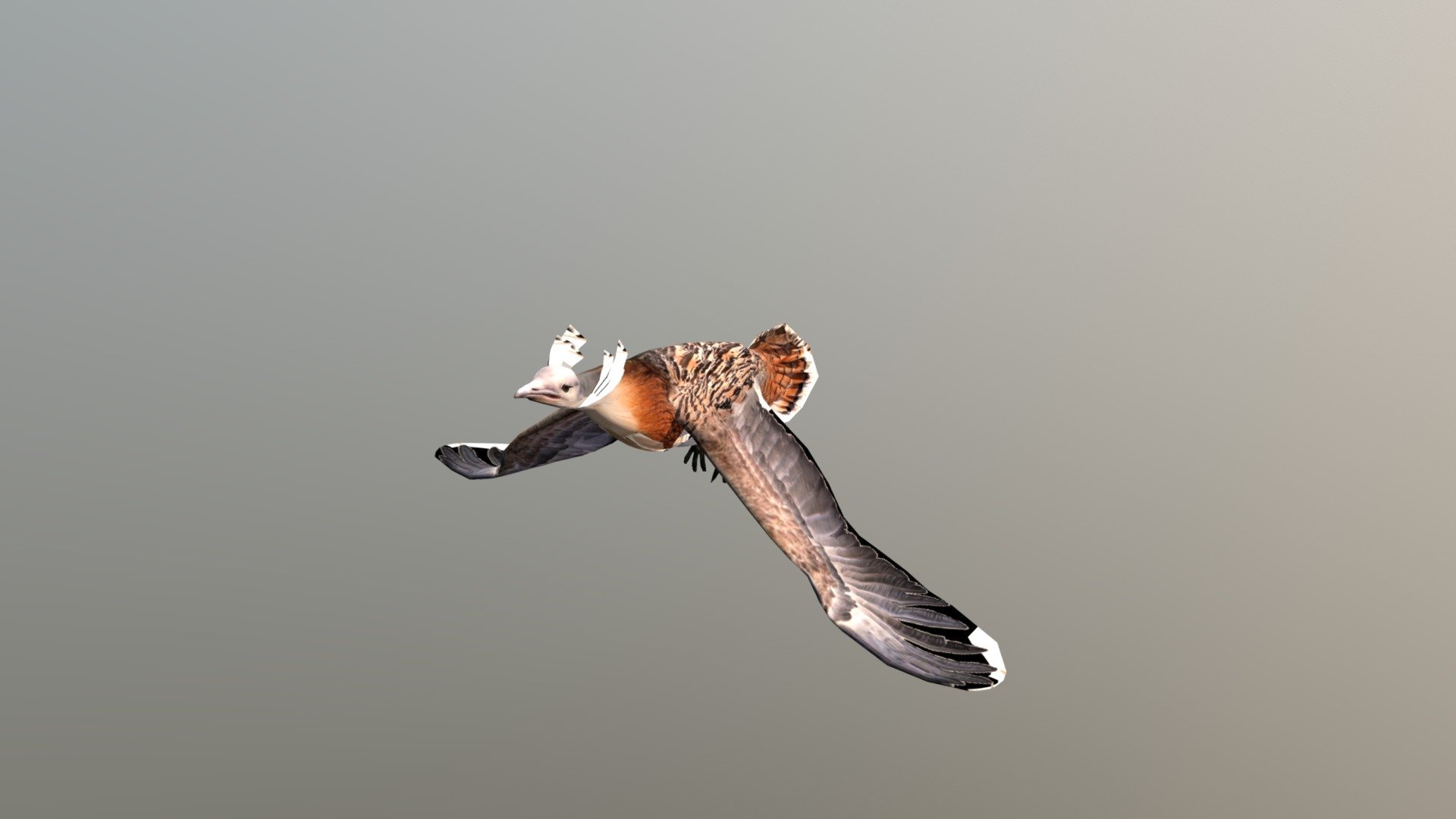 African animals - Drofa - Buy Royalty Free 3D model by Mixall ...