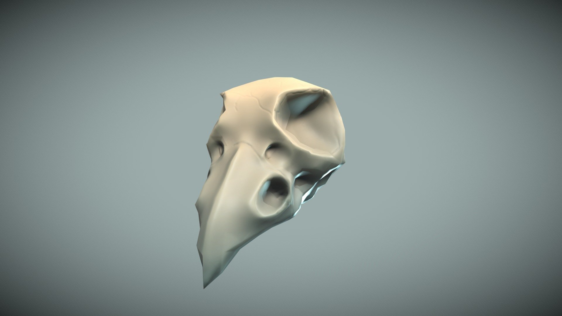 Bird Skull - 3D model by AubracFT [98a07fd] - Sketchfab
