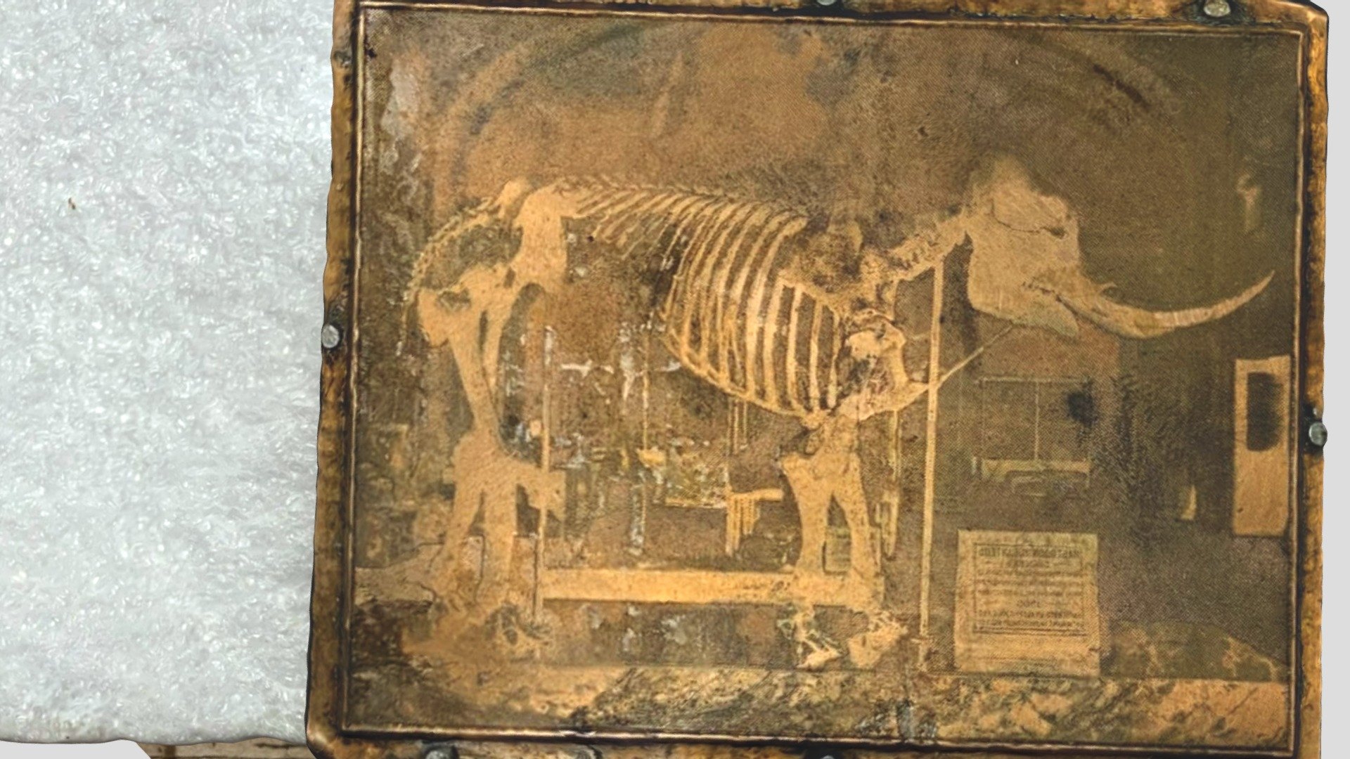 Printing Plate w/ Cohoes Mastodon (VCU_3D_6975) - 3D model by Virtual ...