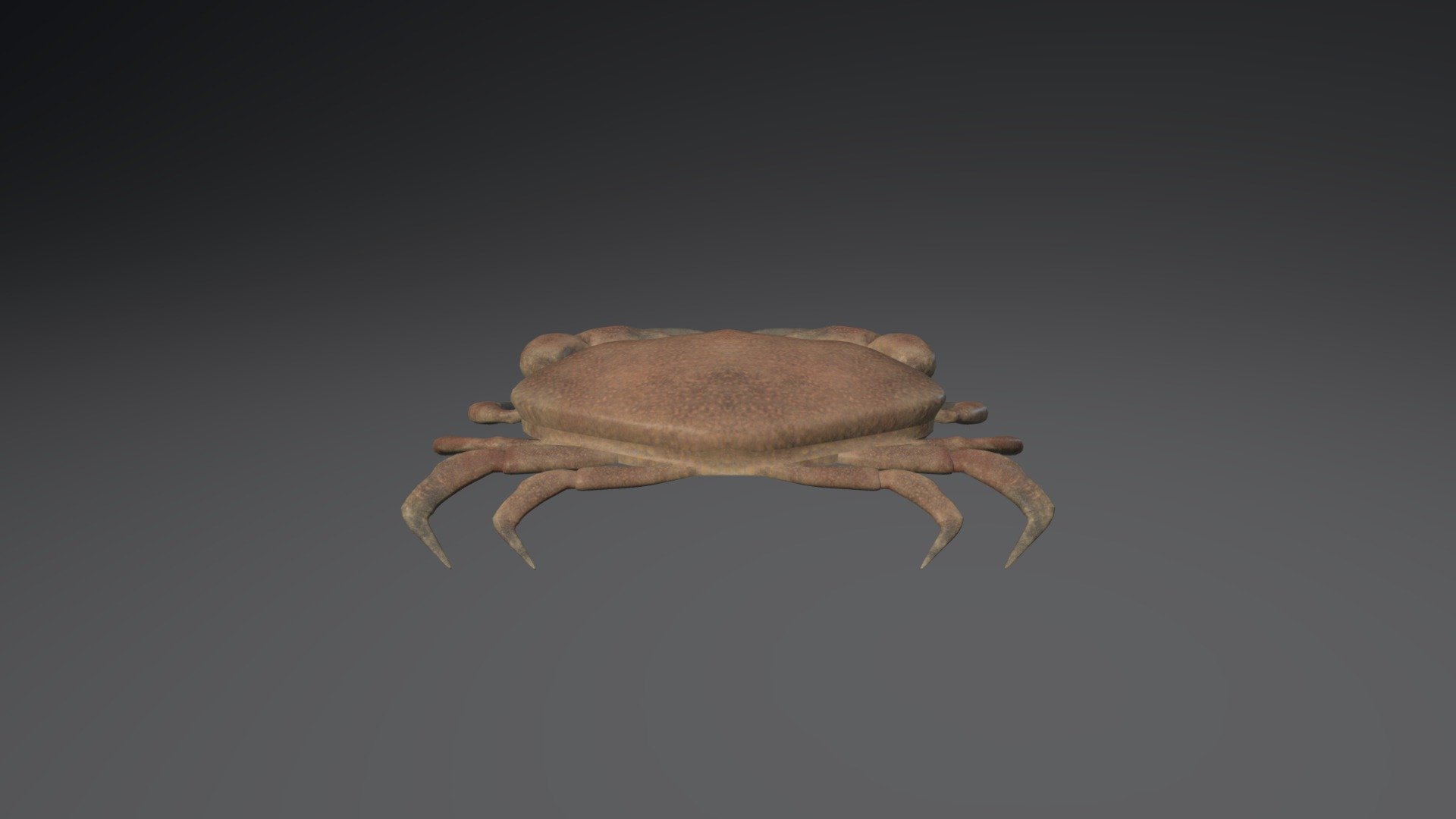 Crab_low_poly - 3D model by stevennvh [98a7705] - Sketchfab