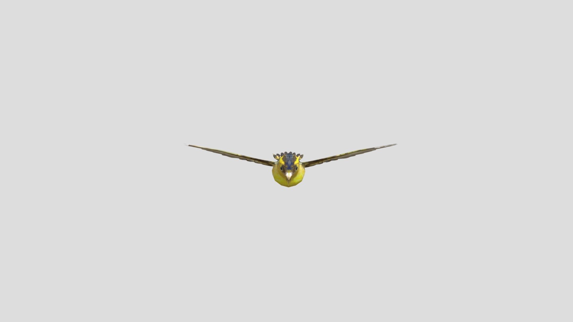 bird_flyyy - 3D model by blue400351 [98a840d] - Sketchfab