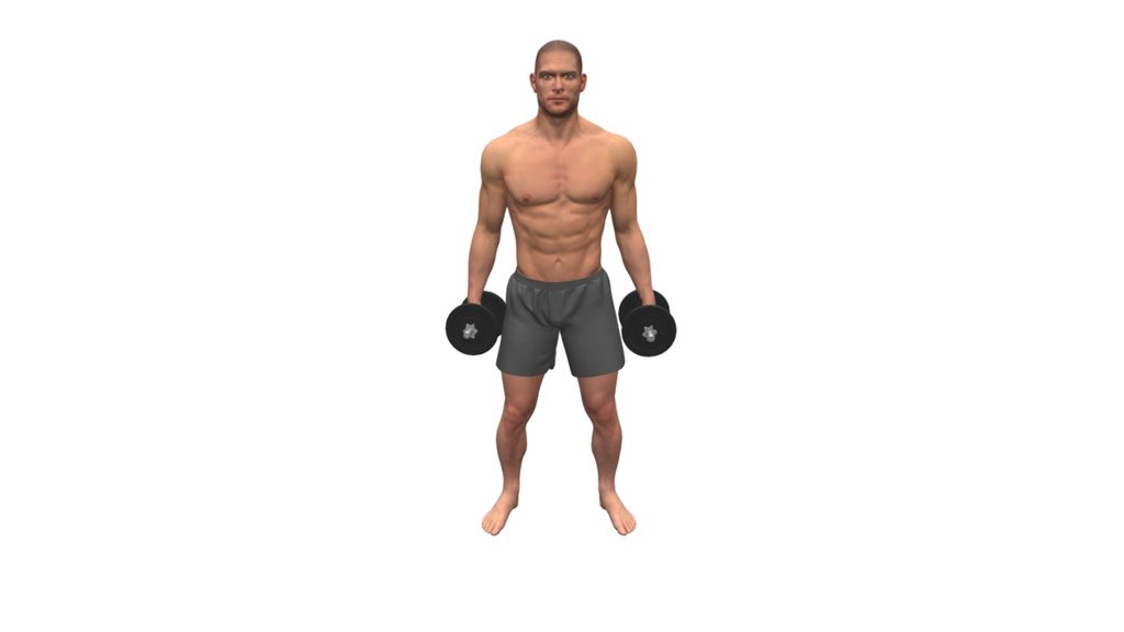 Dumbbell Double Arm Front Raises - 3D model by gymsterapp [98c4255 ...