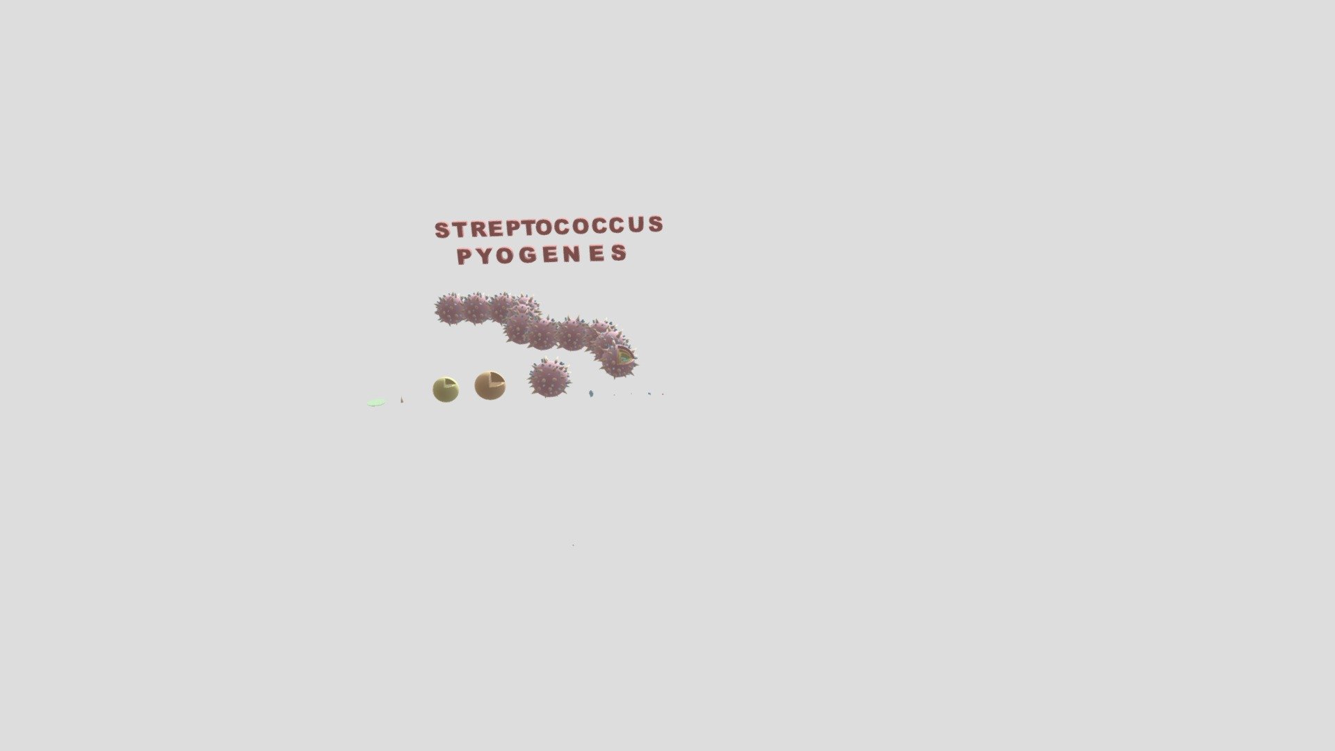 MICROUGHS_streptococcus_pyogenes_YERC1_IBR2 - 3D model by yriverac.2021 ...