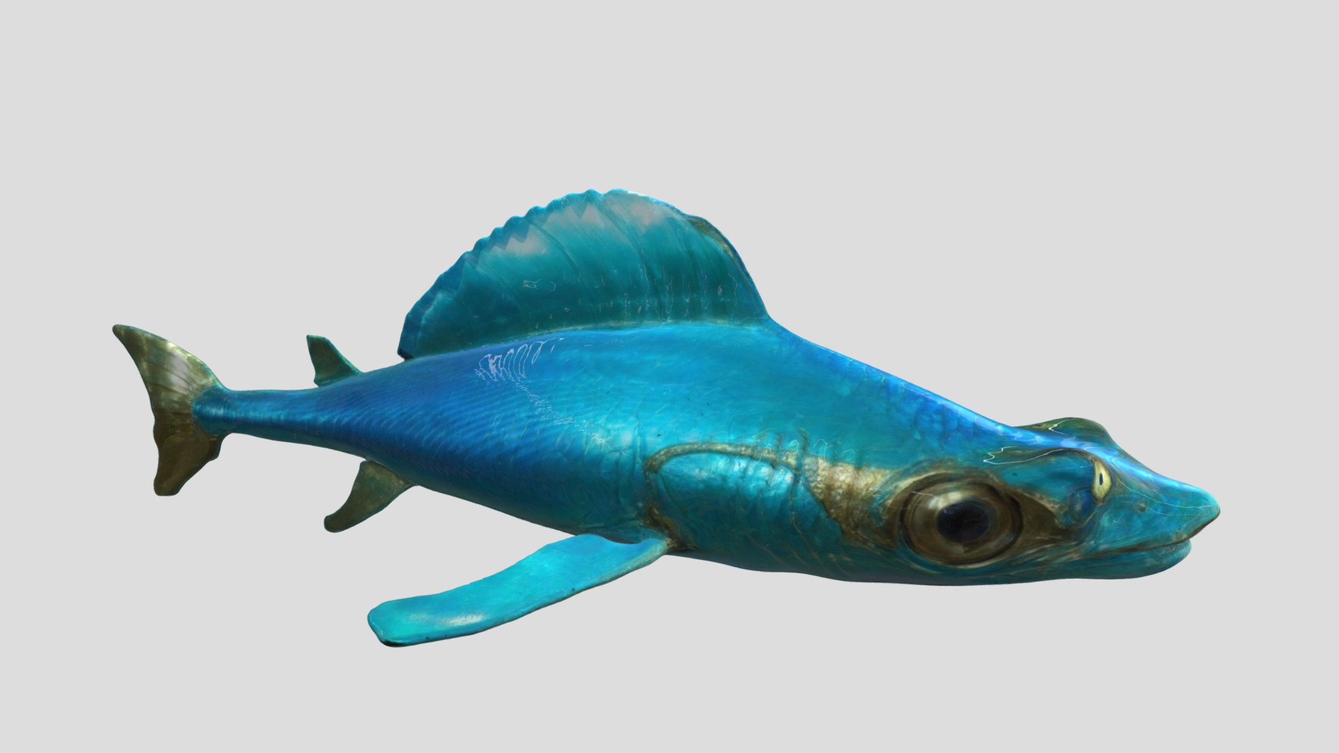 Maui Bladefish - fish - Download Free 3D model by Brian Trepanier ...