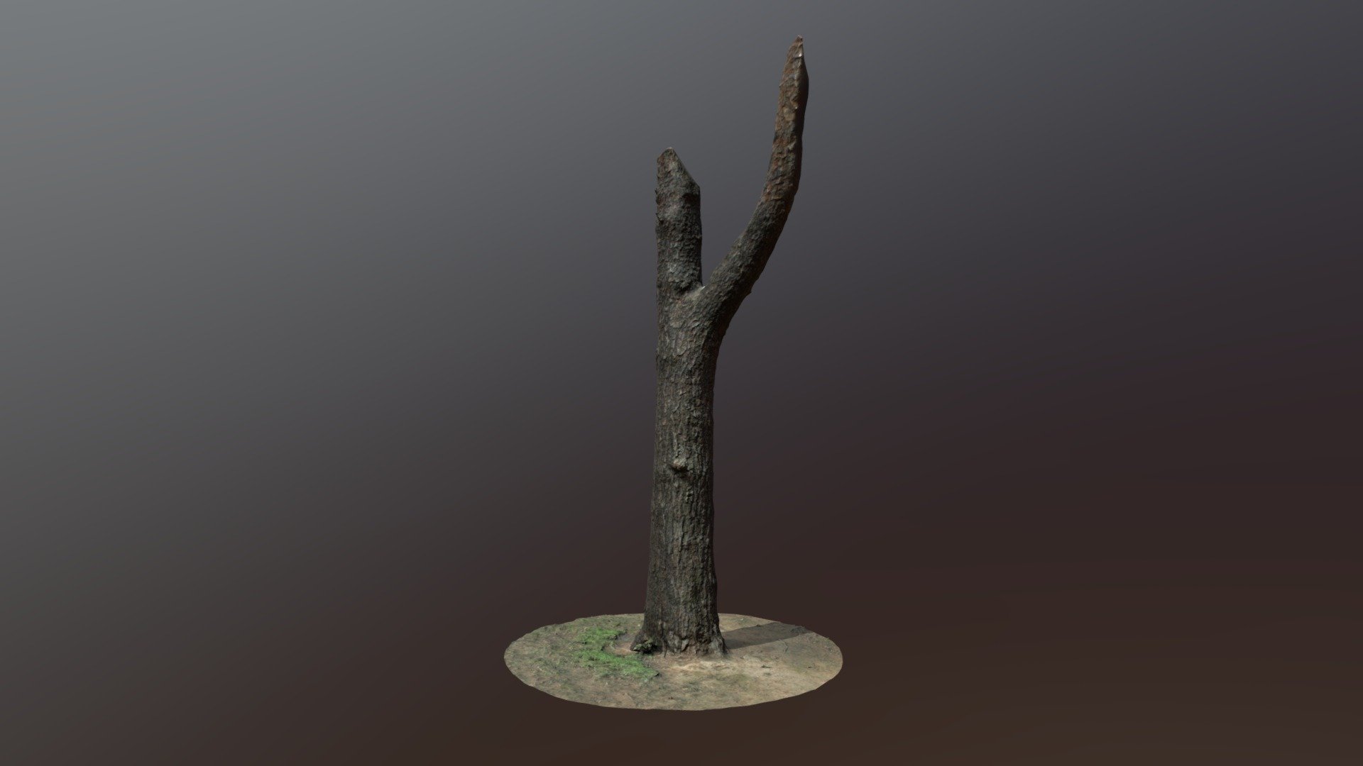 Tree Bark 3 - Download Free 3D model by AJS (@VUC) [98d63ec] - Sketchfab