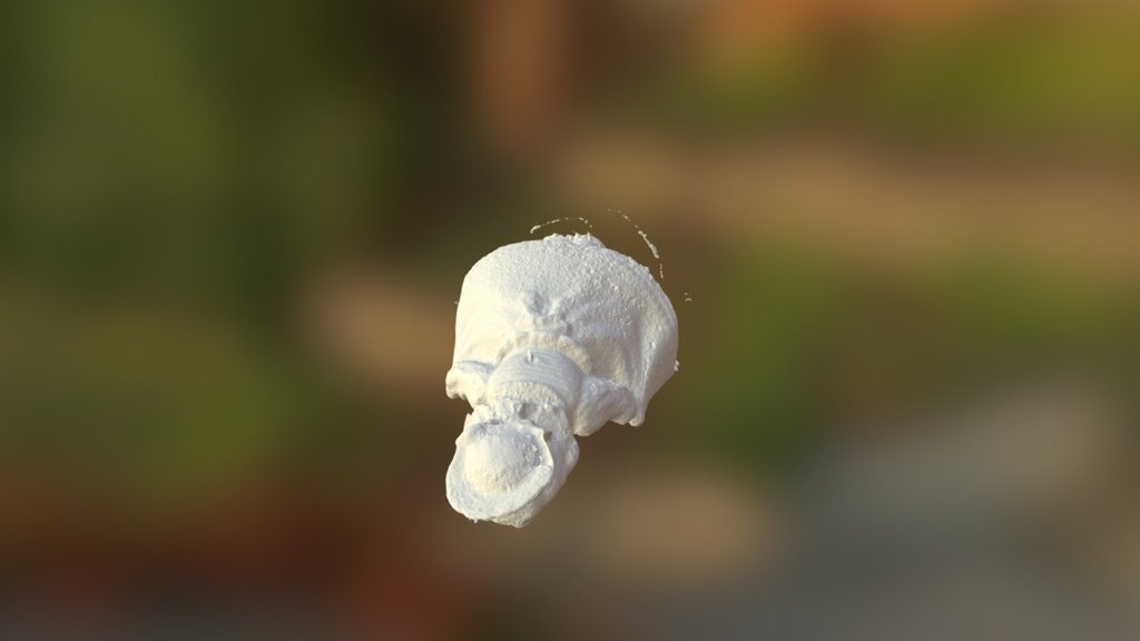 test_doll - 3D model by mkoller [98d8233] - Sketchfab